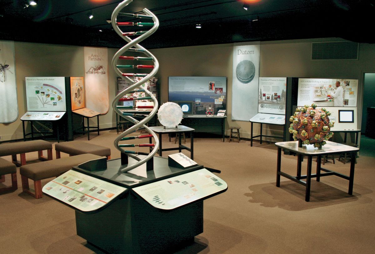 Explore Evolution : Exhibits : Exhibits : University of Nebraska State ...