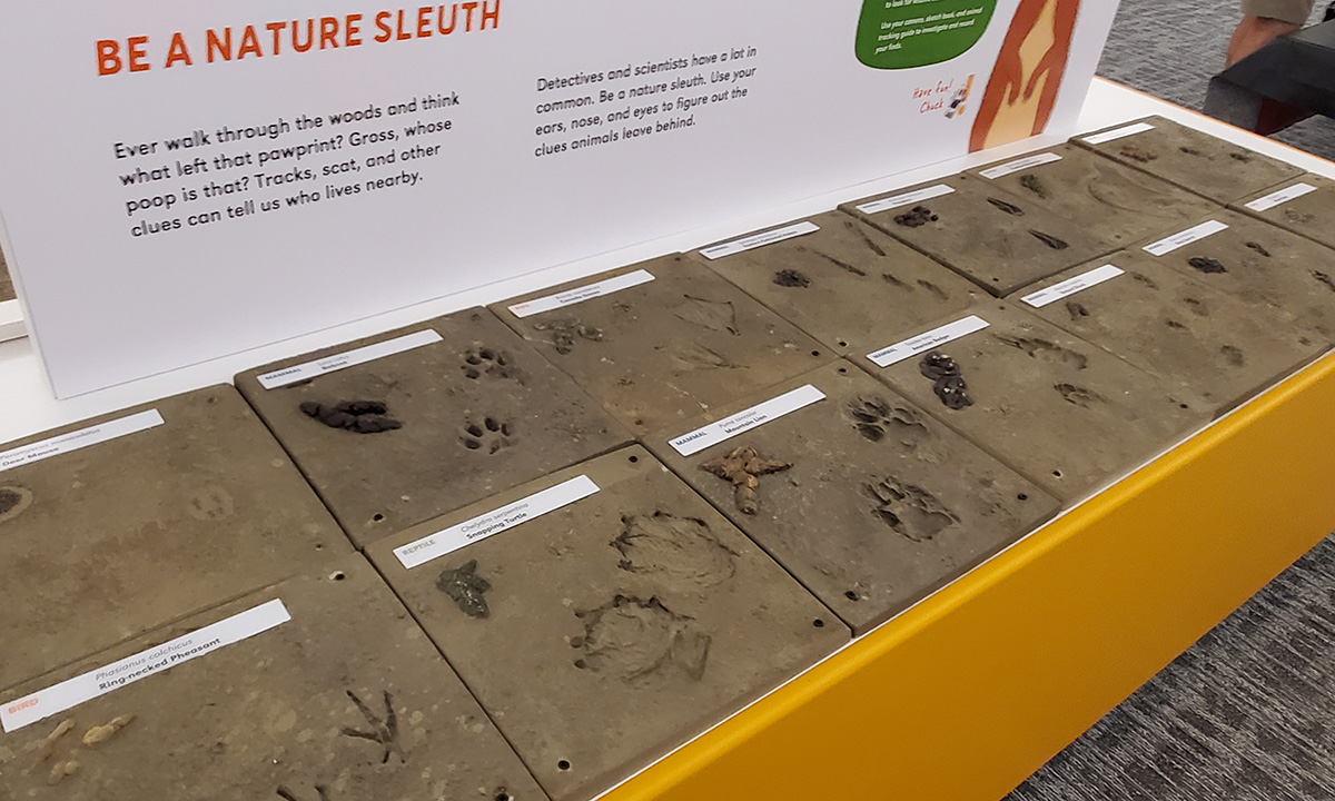 Exhibits : Exhibits : University of Nebraska State Museum of Natural ...