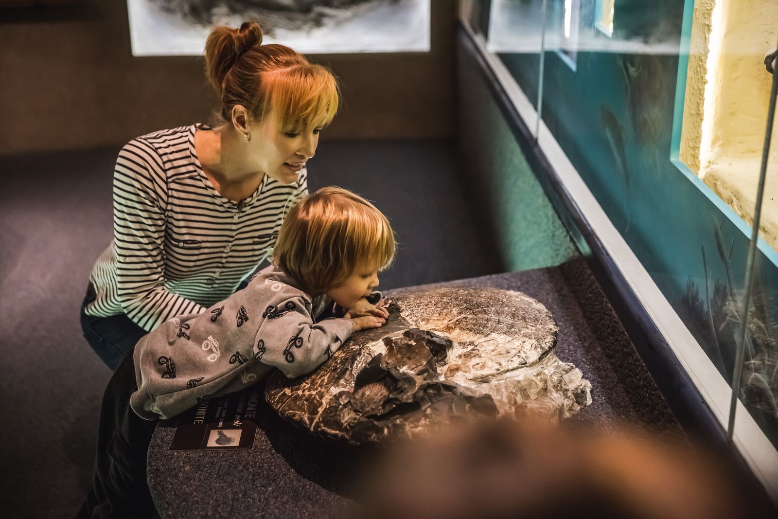 UNSM Museum Membership