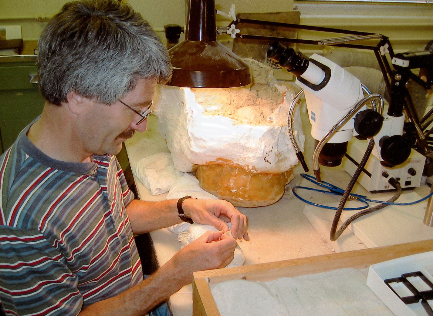 Meet Our Scientists : Science & Culture | Vertebrate Paleontology ...