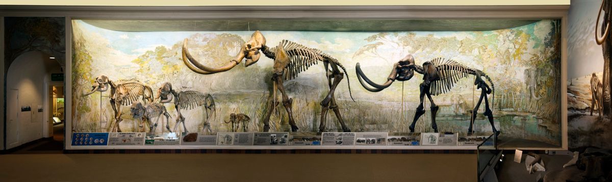 Morrill Hall First Floor Map