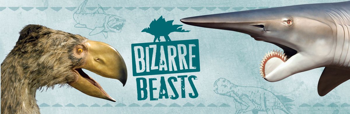 Bizarre Beasts : Exhibits : Exhibits : University of Nebraska State ...