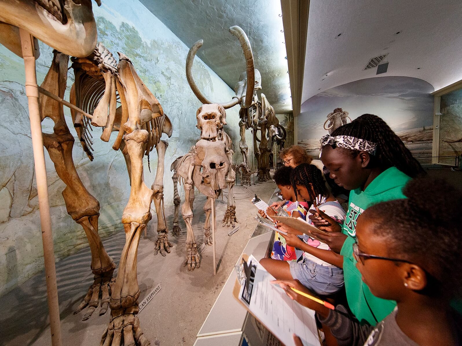 Nebraska State Museum | Nebraska